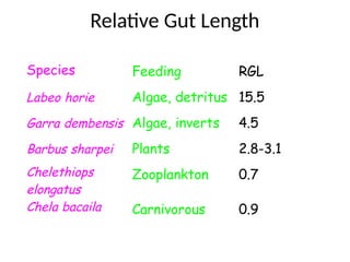Type of Digestive-System-of-Finfishes.pptx