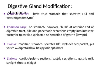 Type of Digestive-System-of-Finfishes.pptx
