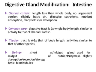 Type of Digestive-System-of-Finfishes.pptx