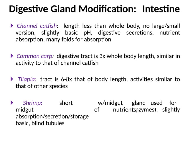 Type of Digestive-System-of-Finfishes.pptx