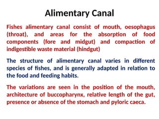 Type of Digestive-System-of-Finfishes.pptx