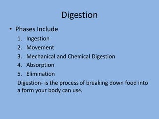 digestive-system-power-point.ppt