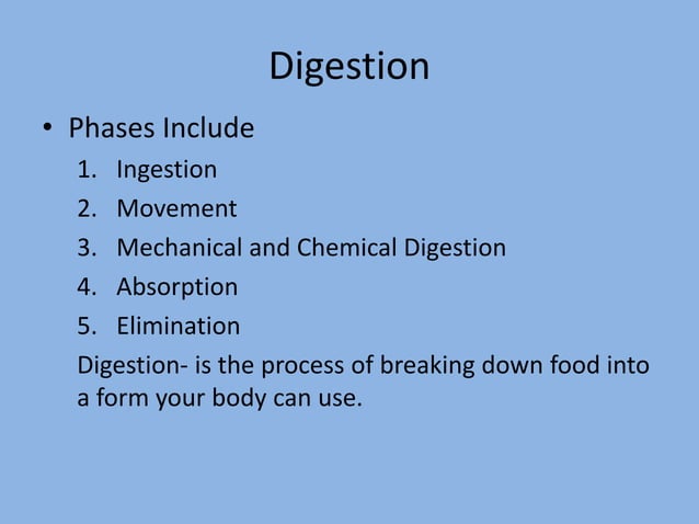 digestive-system-power-point.ppt