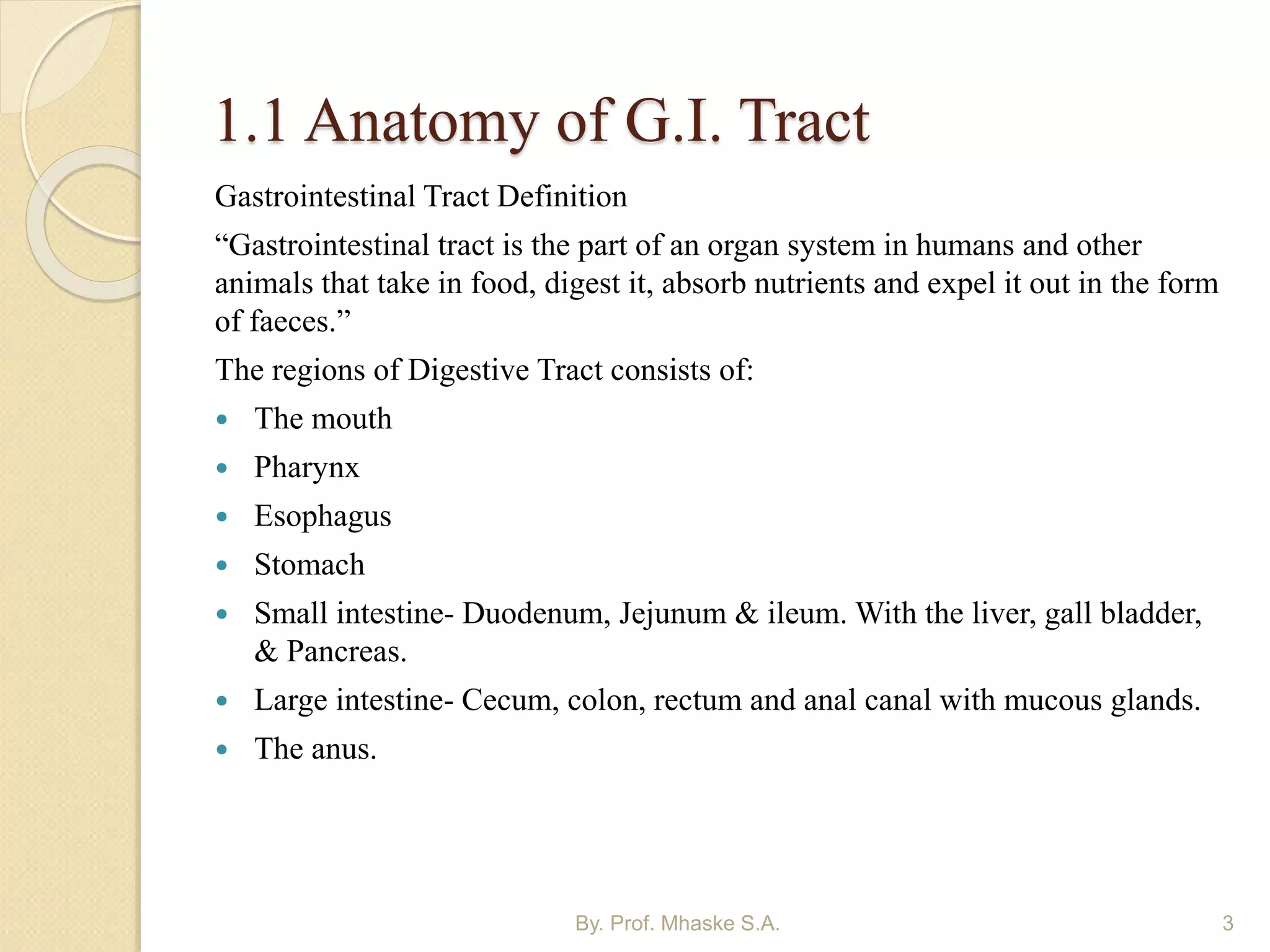 Digestive System | PPT