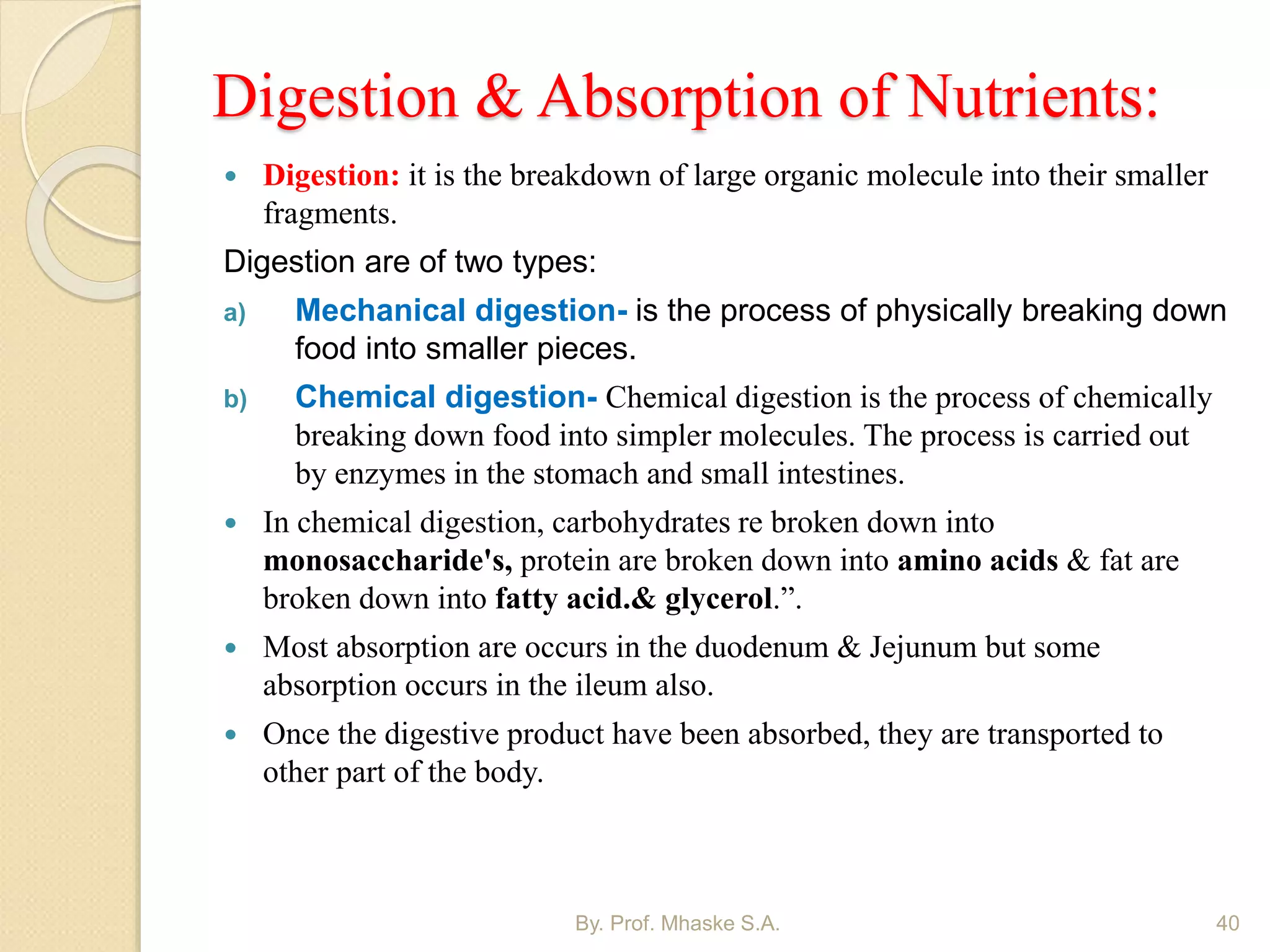 Digestive System | PPT