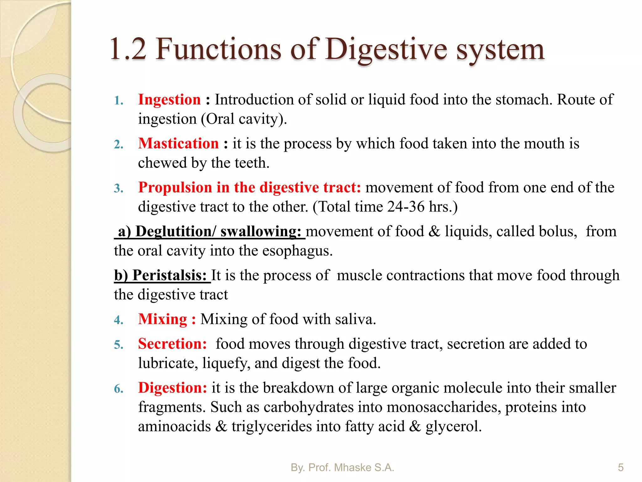 Digestive System | PPT