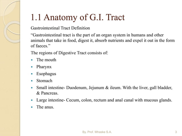 Digestive System | PPT