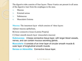 Digestive System | PPT