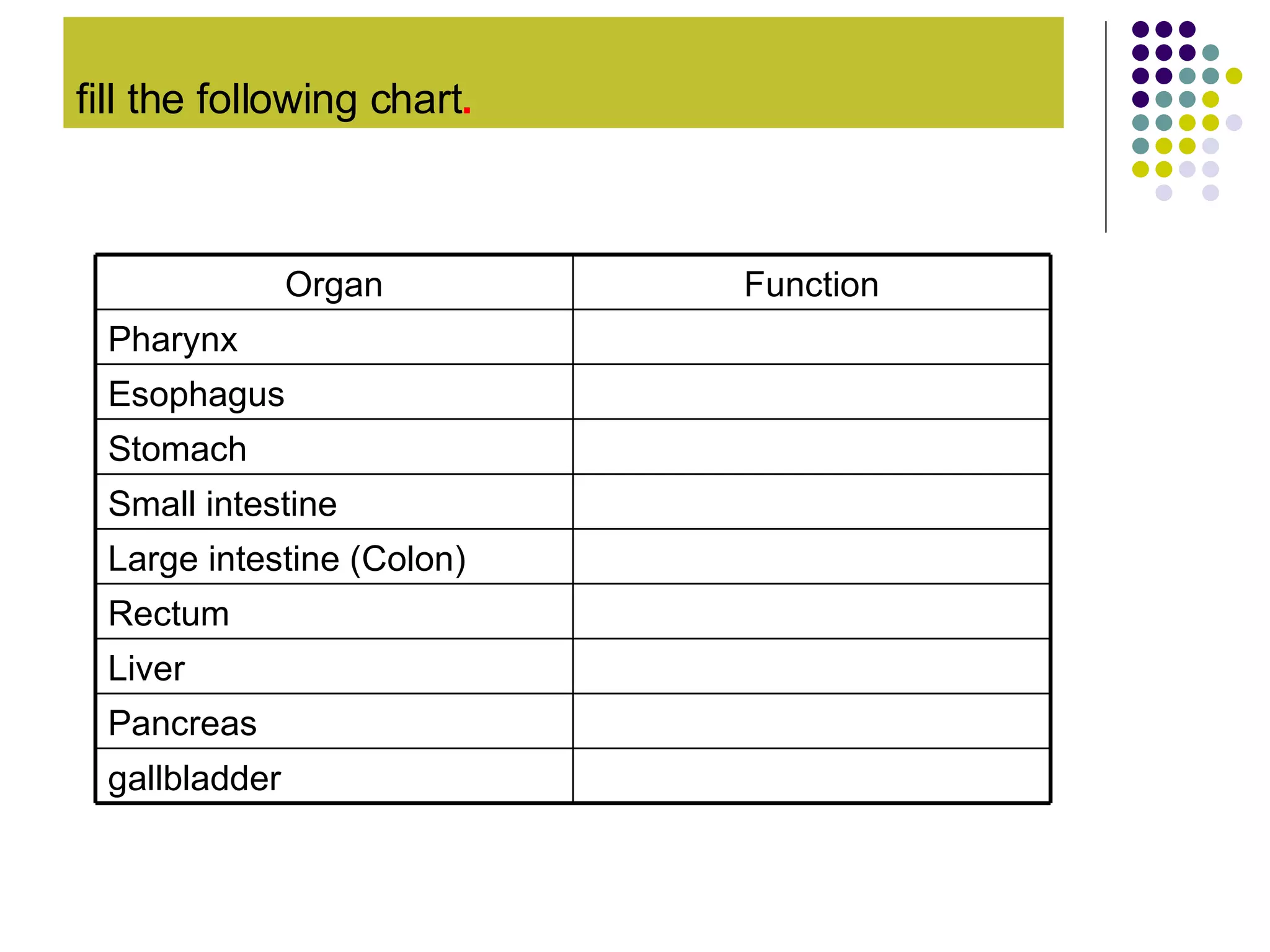Digestive System | PPT