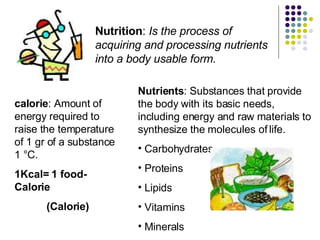 Digestive System | PPT