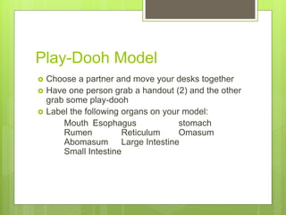 Digestive systems | PPT