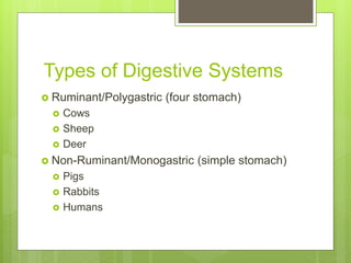 Digestive systems | PPTX
