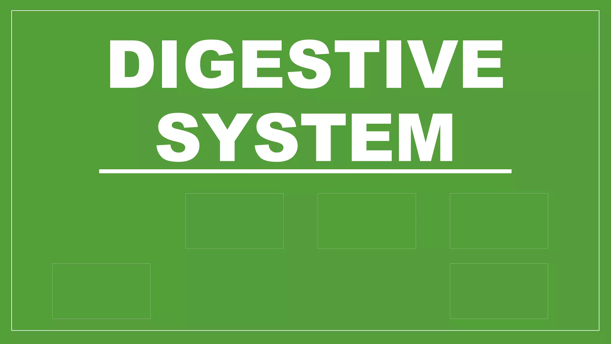 Digestive sytem demo teaching | PPTX