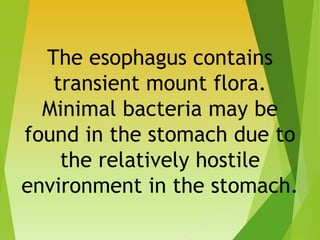 Digestive-Tract-WPS-Office.pptx