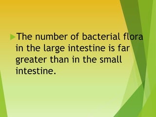 Digestive-Tract-WPS-Office.pptx