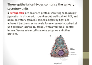 Digestive%20Tract%204.pdf.pdf download for free | PDF