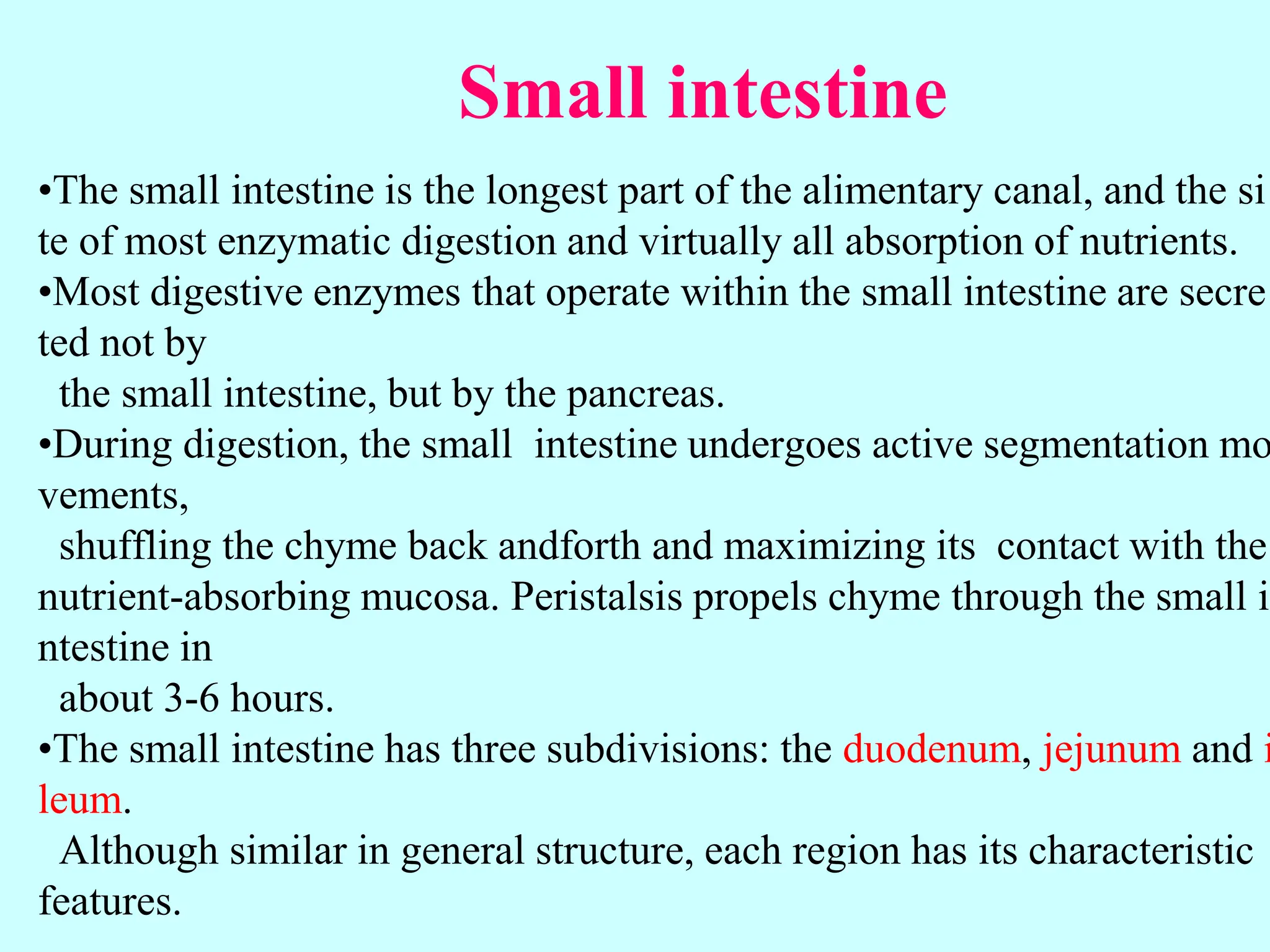 digestive 3.pptxpfanatomy small intestine and | PPTX