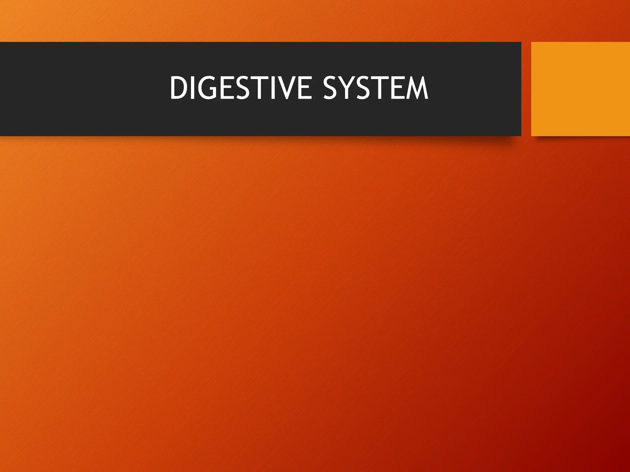 digestive anatomy anatomy.pptx The human digestive system consists of ...