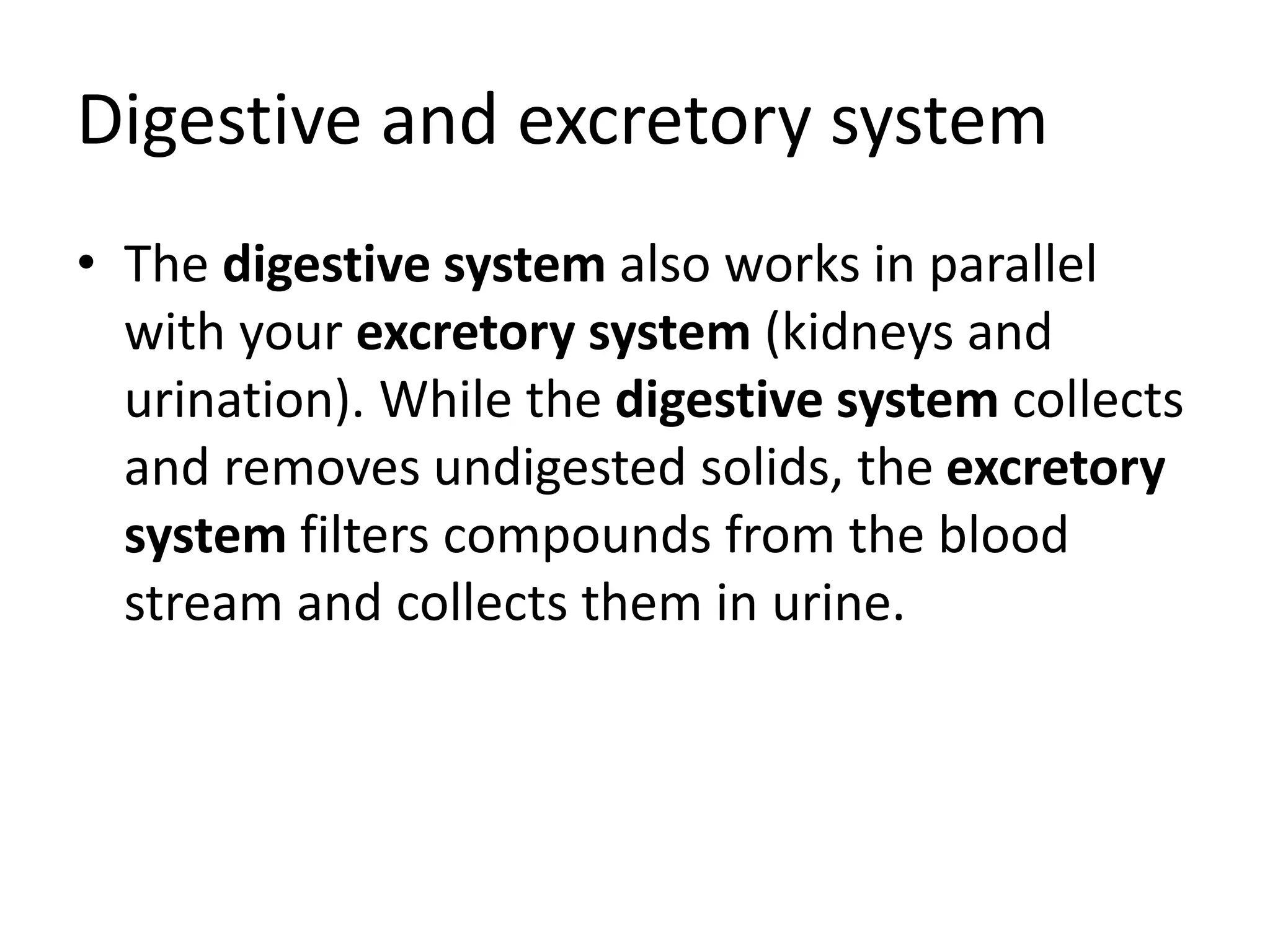 Digestive and excreatory system | PPTX