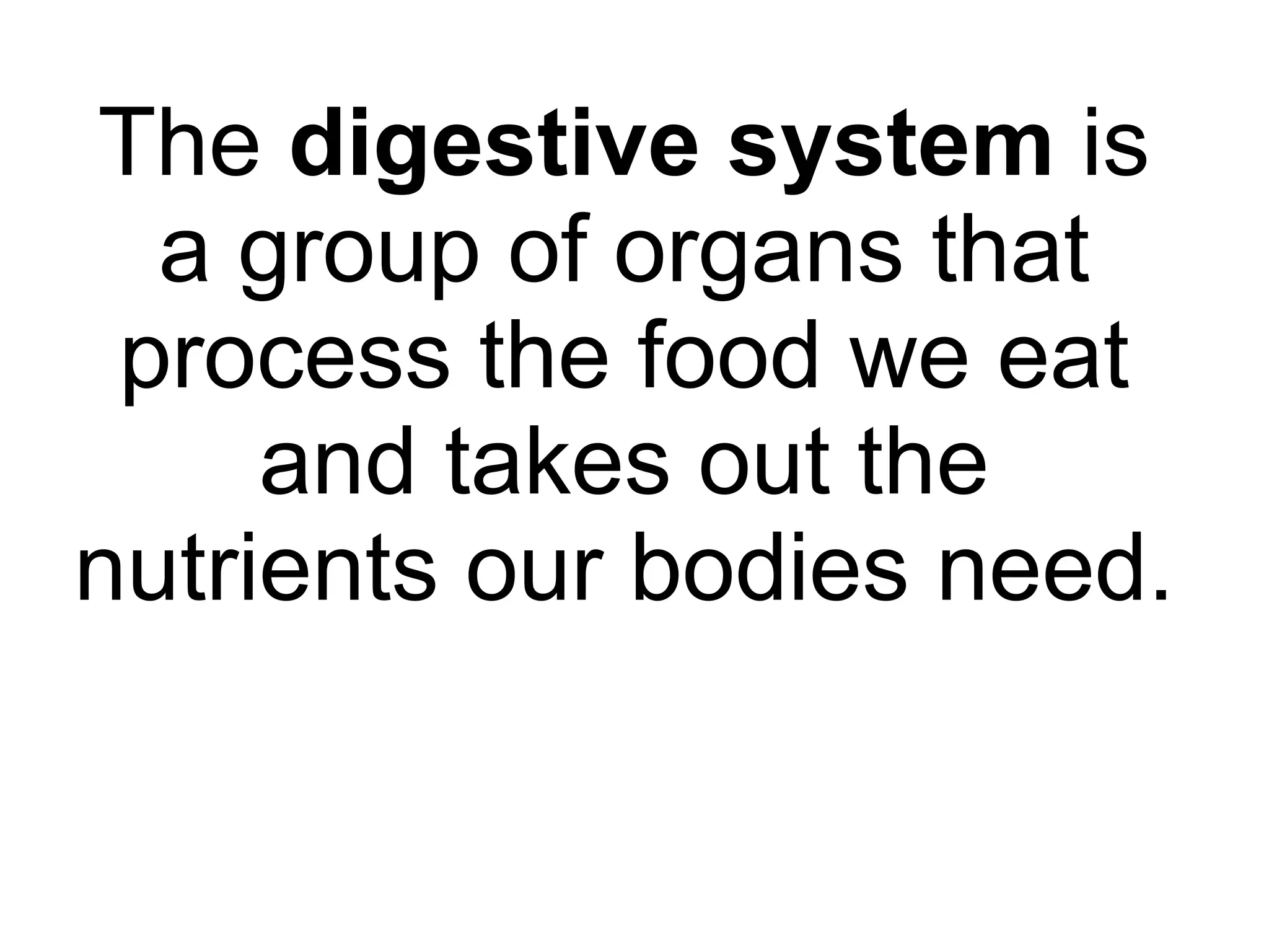 Digestive and excretory systems | PPT