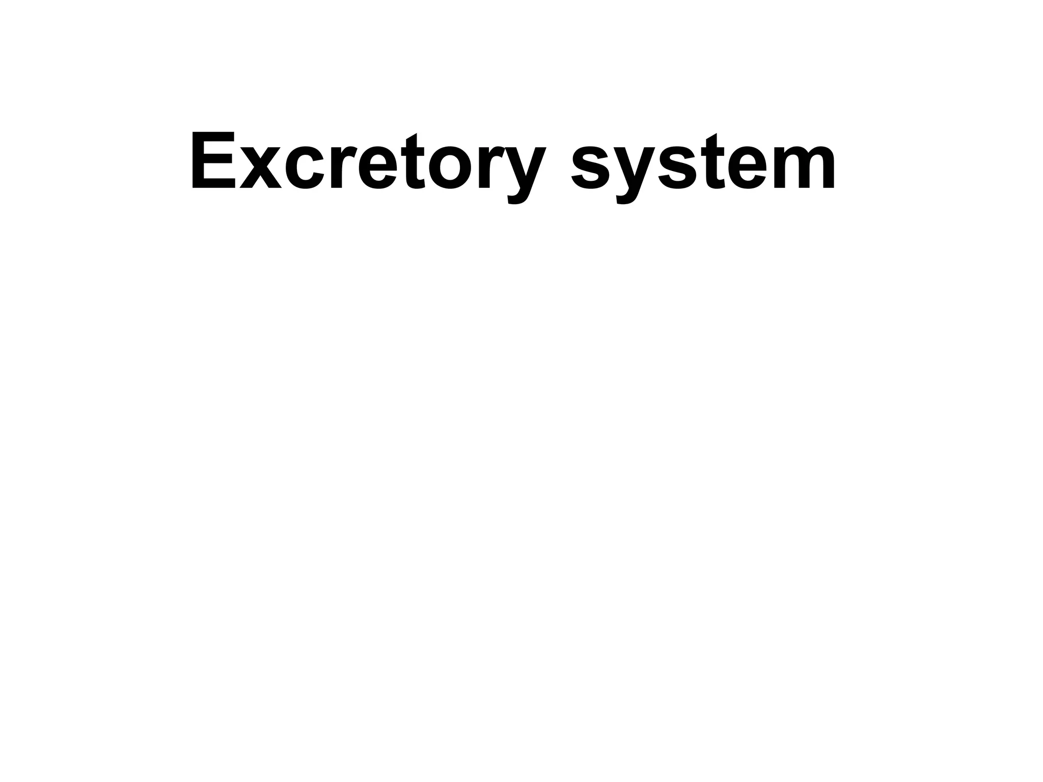 Digestive and excretory systems | PPT