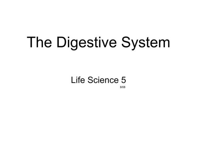Digestive and excretory systems | PPT