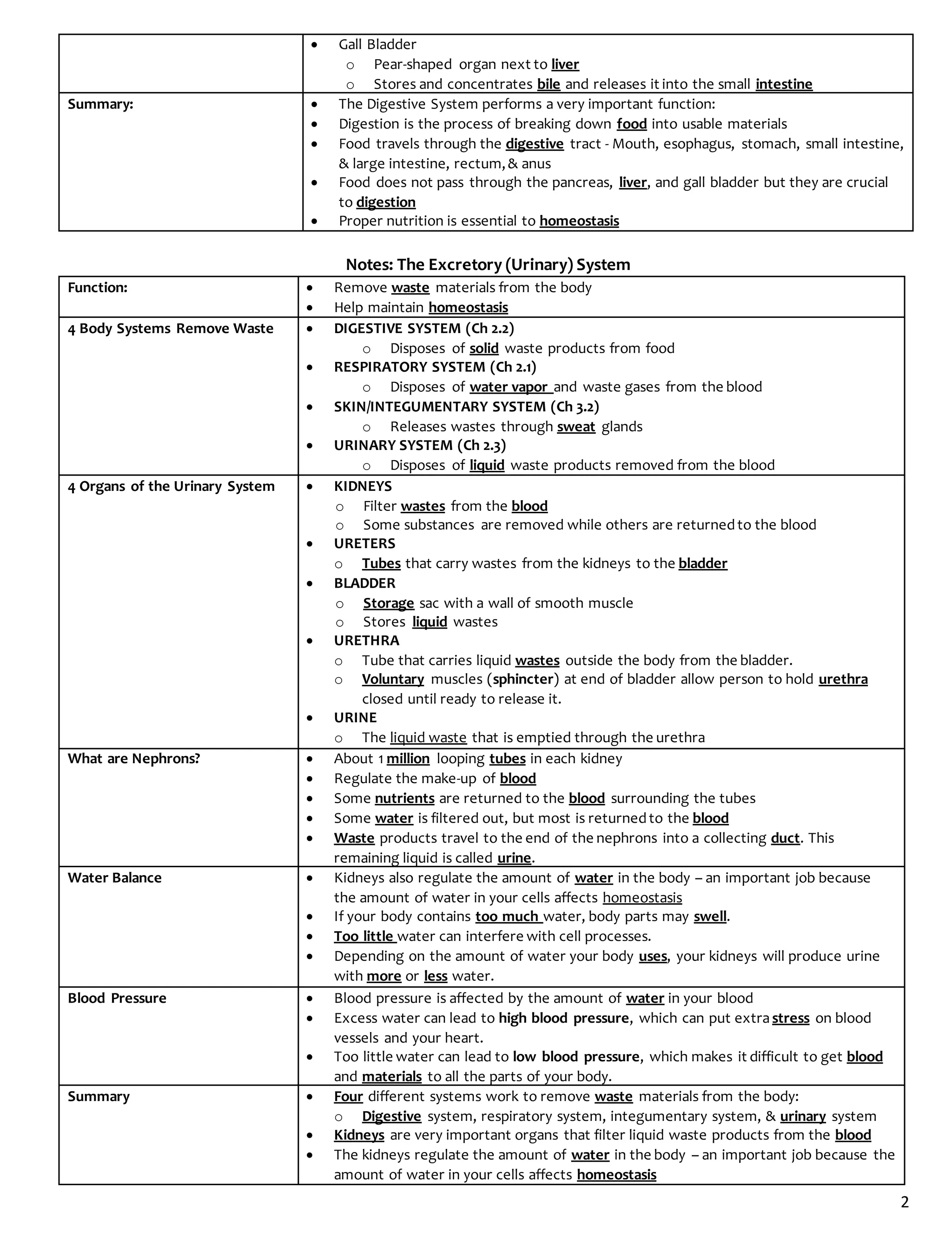Digestive and excretory_systems_notes_key | PDF