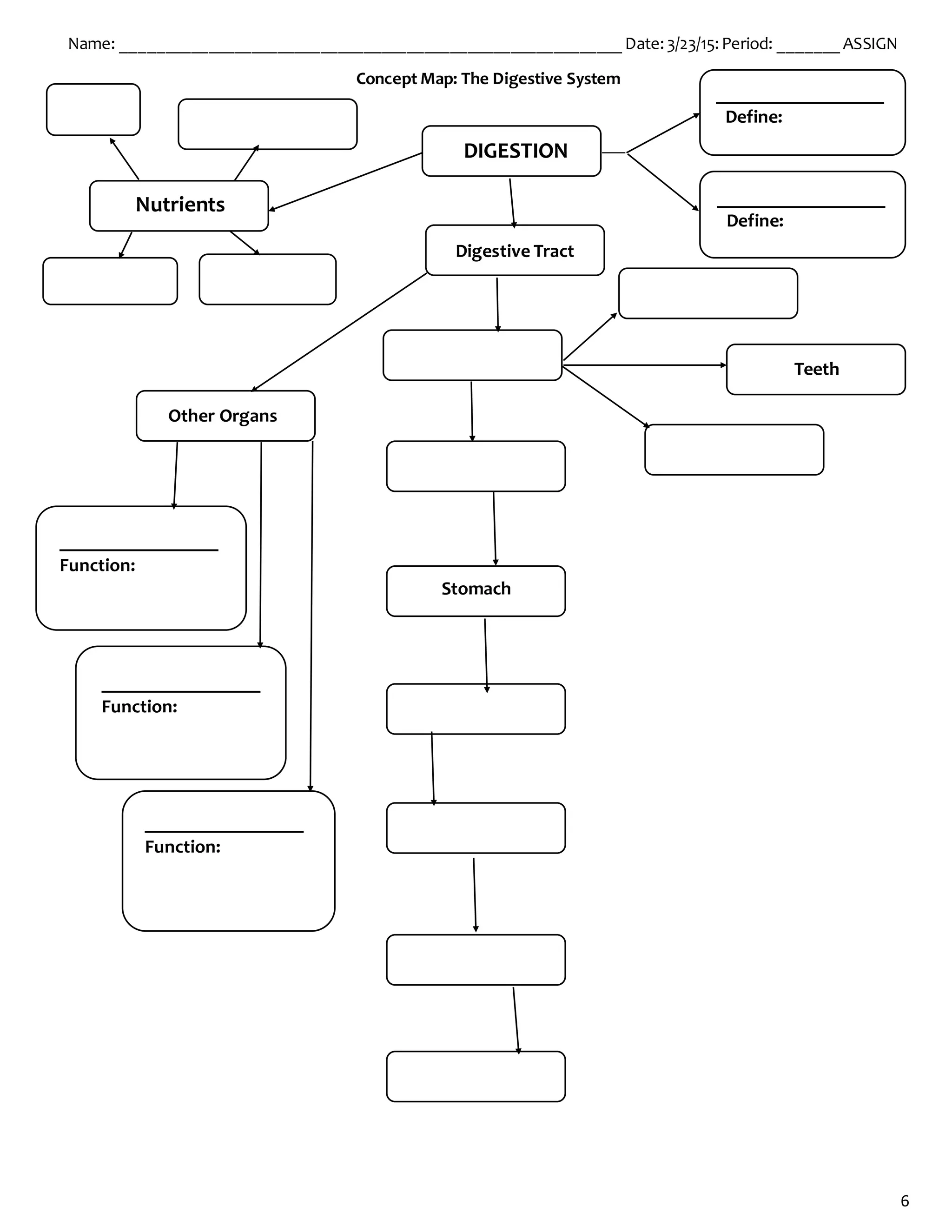 Digestive and excretory_systems_notes_key | PDF