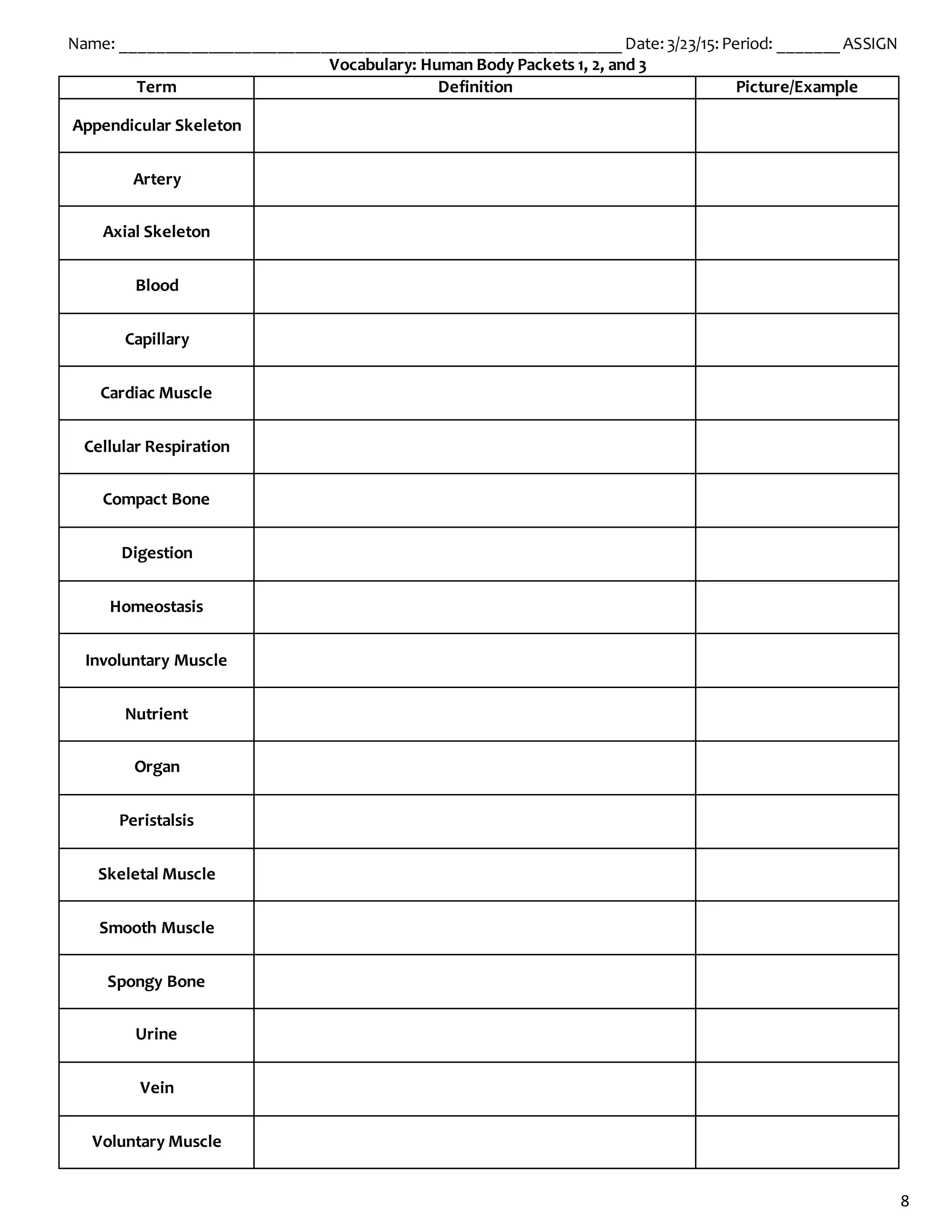 Digestive and excretory_systems_notes_key | DOCX