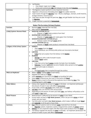 Digestive and excretory_systems_notes_key | PDF