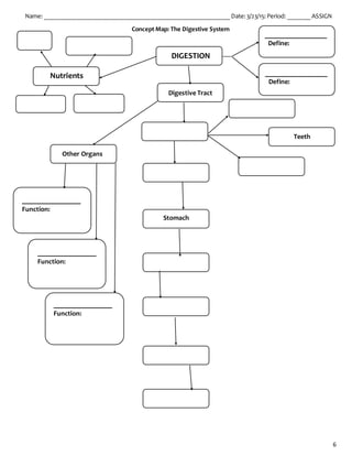 Digestive and excretory_systems_notes_key | PDF