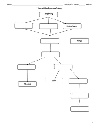 Digestive and excretory_systems_notes_key | PDF