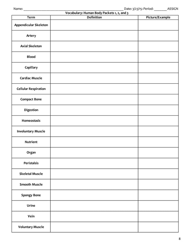 Digestive and excretory_systems_notes_key | PDF