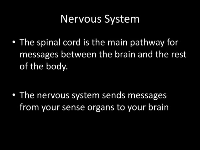 Digestive and nervous system | PPTX