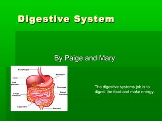 Digestive and nervous systems | PPT