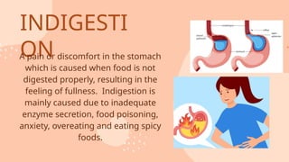 Digestive and Respiratory System (3).pptx