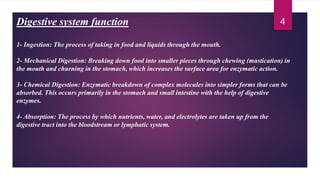 digestive [Autosavedwushqkwdijjkdnwksksw | PPTX