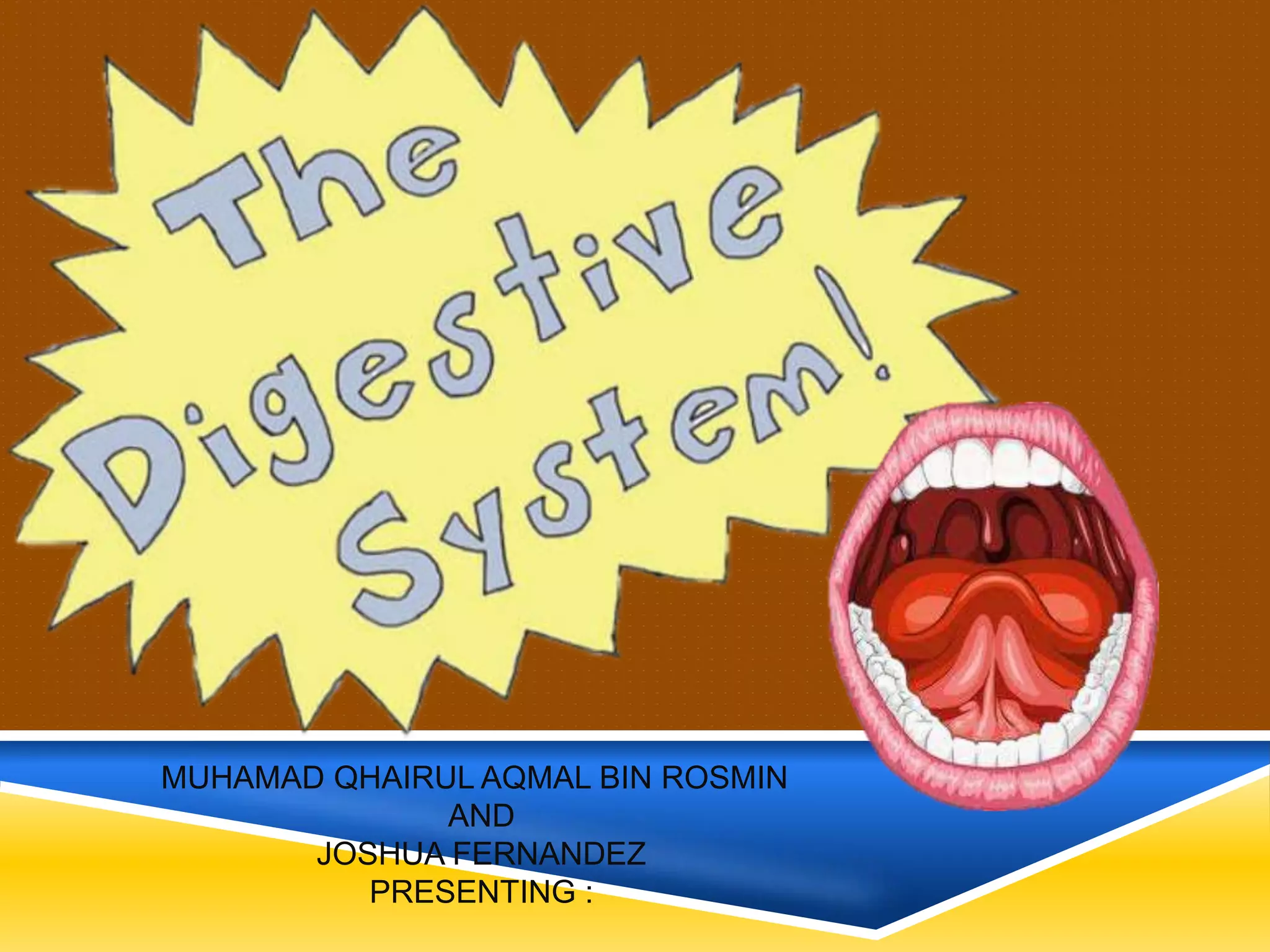 Digestive system disease | PPT