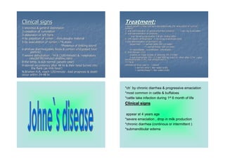 Digestive diseeases of cattle | PDF