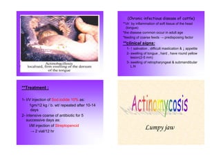 Digestive diseeases of cattle | PDF