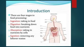 Digestive Disorders Q4.pptx