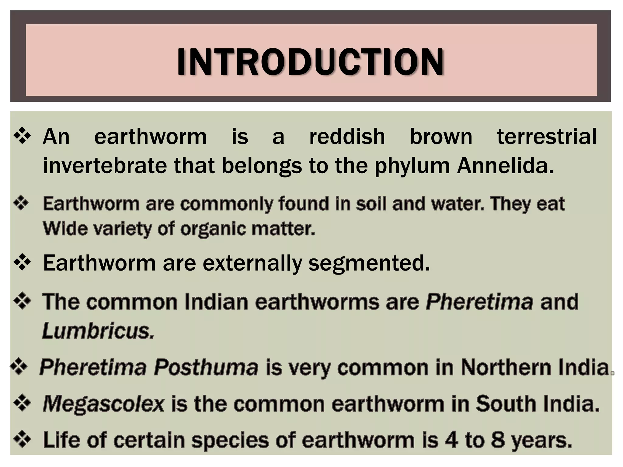 DIGESTIVE EARTHWORM.pptx