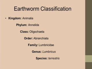 DIGESTIVE EARTHWORM.pptx