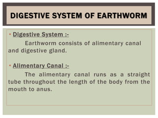 DIGESTIVE EARTHWORM.pptx