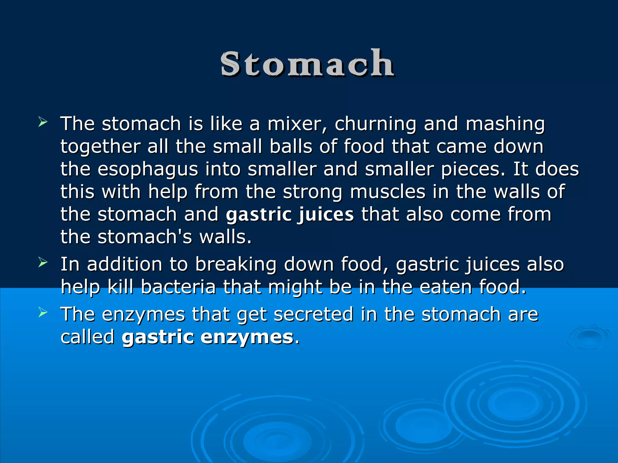 Digestive enzymes | PPT