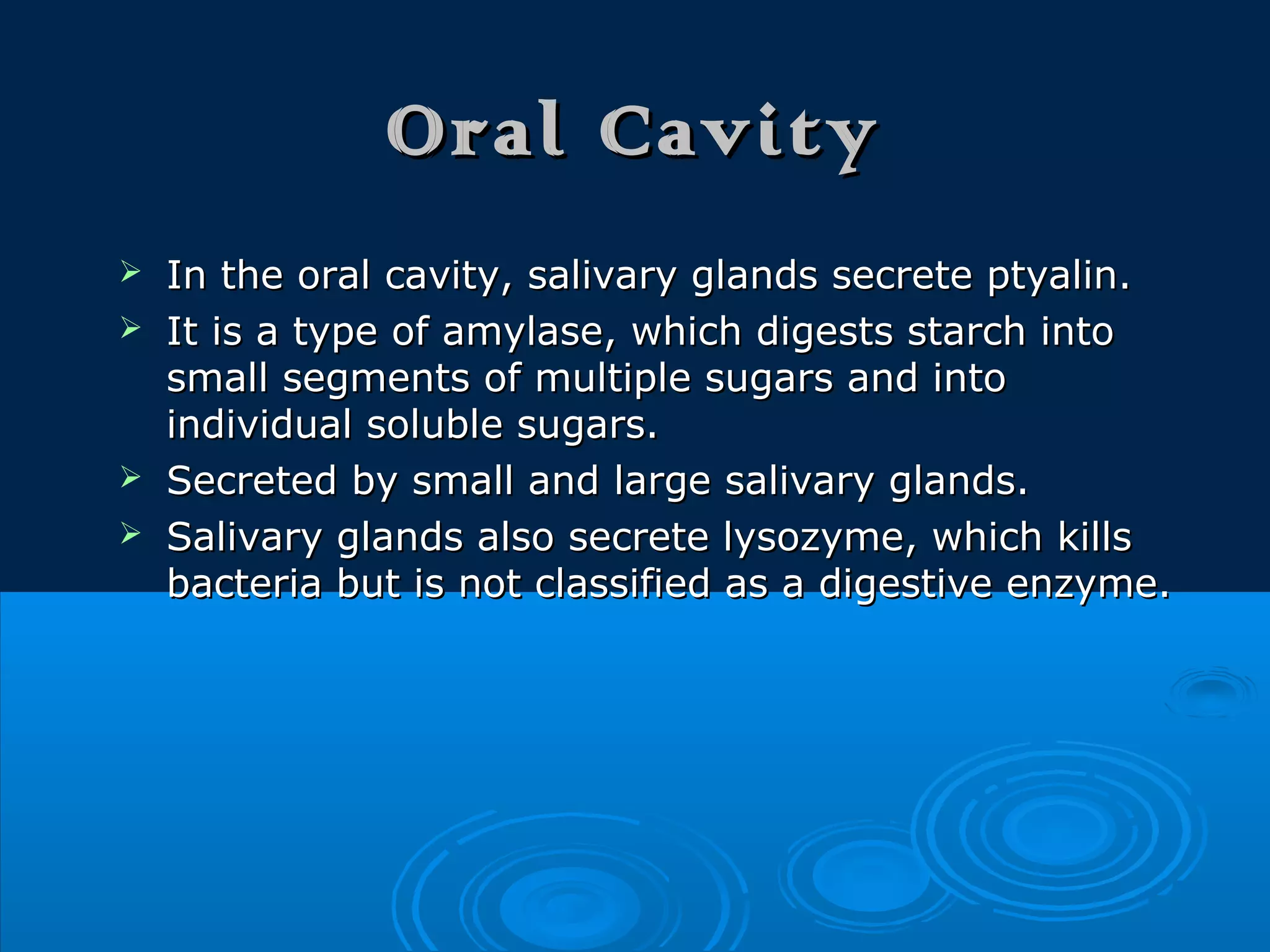Digestive enzymes | PPT