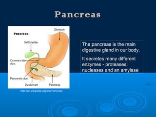 Digestive enzymes | PPT