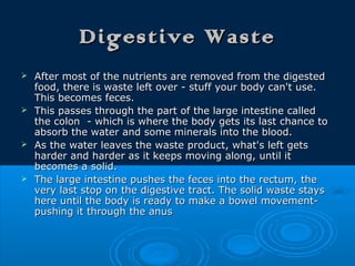 Digestive enzymes | PPT