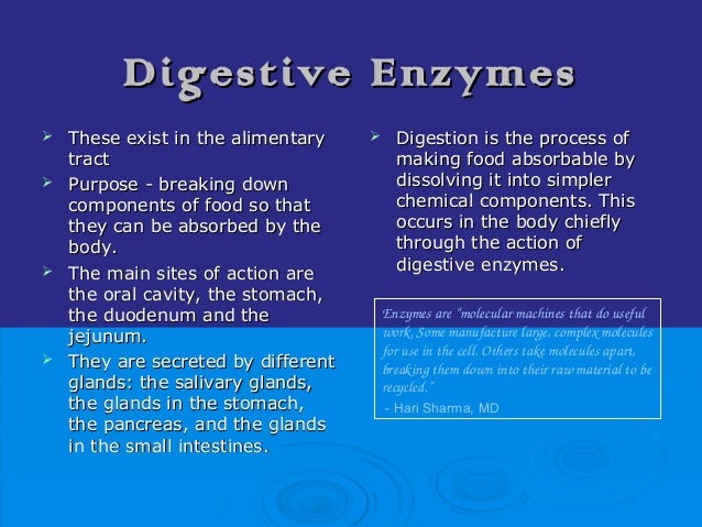 Digestive enzymes