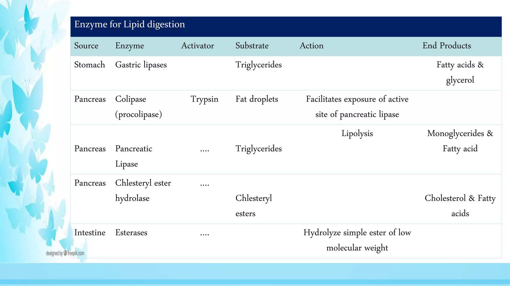 Digestive enzymes | PPTX
